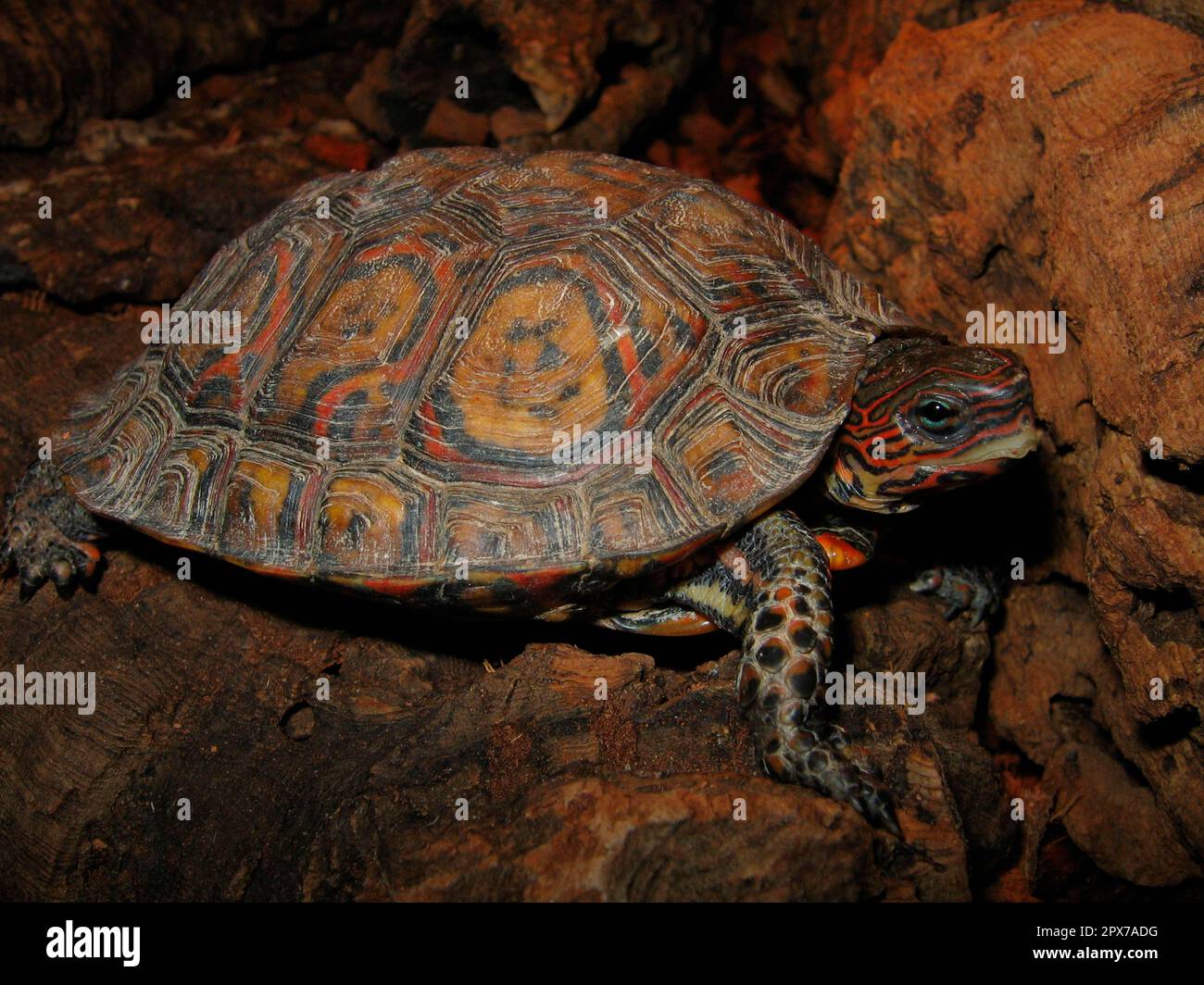 Splendid earth hi-res stock photography and images - Alamy