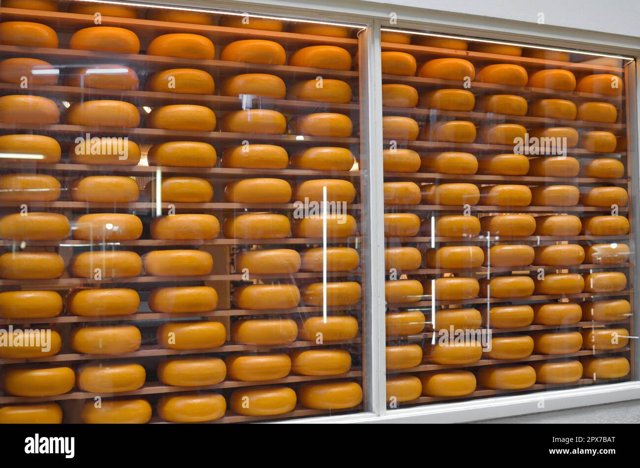 Fresh cheese heads on rack in store Stock Photo - Alamy