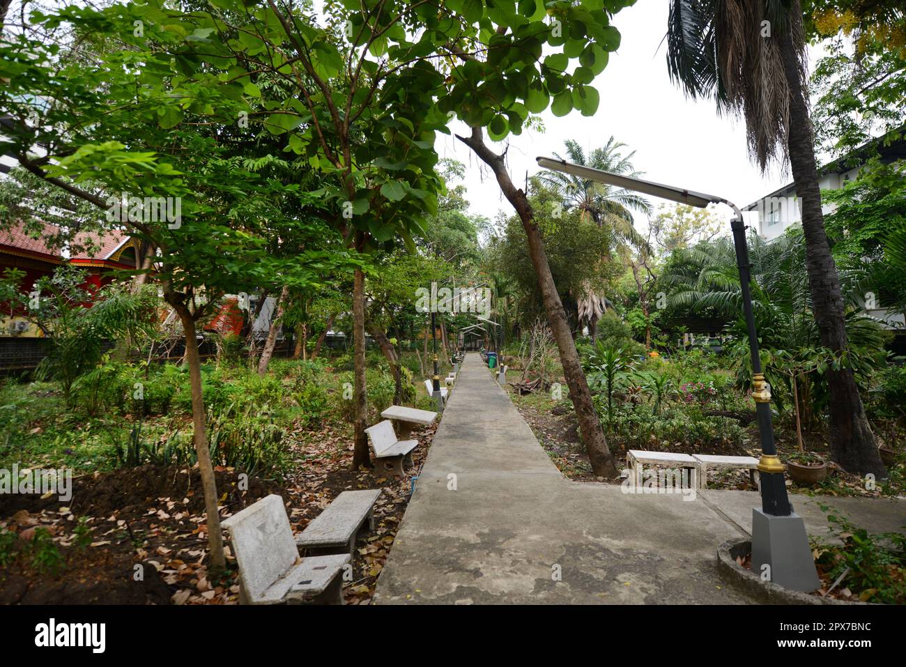 The garden of the Haroon Mosque in Bang Rak, Bangkok, Thailand Stock ...
