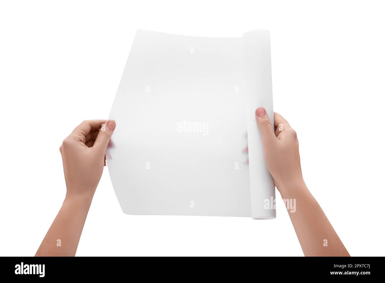 Kitchen paper woman Cut Out Stock Images & Pictures - Alamy