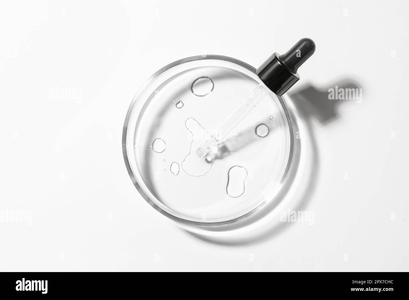 Petri dish with pipette on white background, top view Stock Photo - Alamy