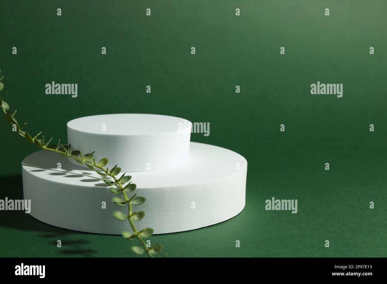 Product photography props. Round shaped podiums with plant on green ...
