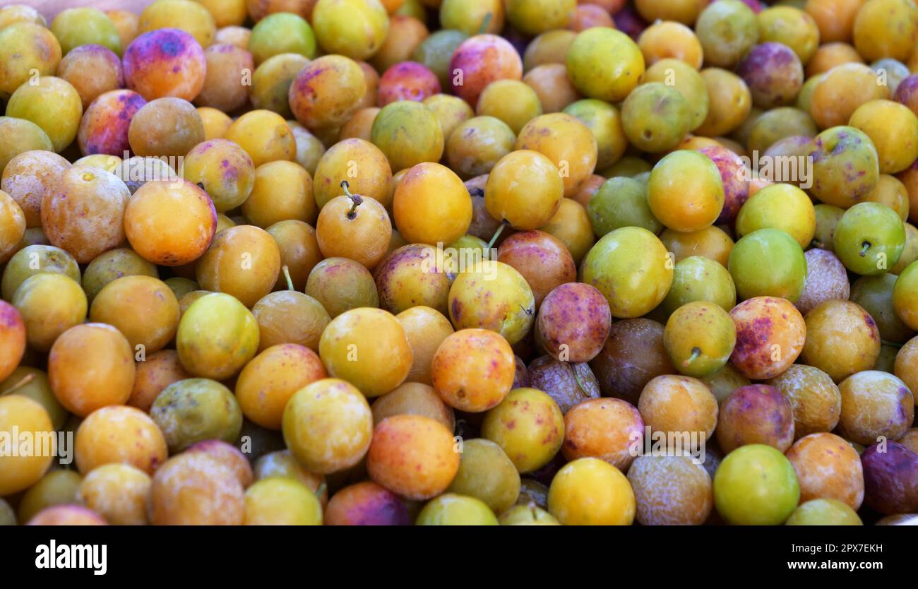 Mirabelles fruits mirabelle plum fruit background from above Stock ...