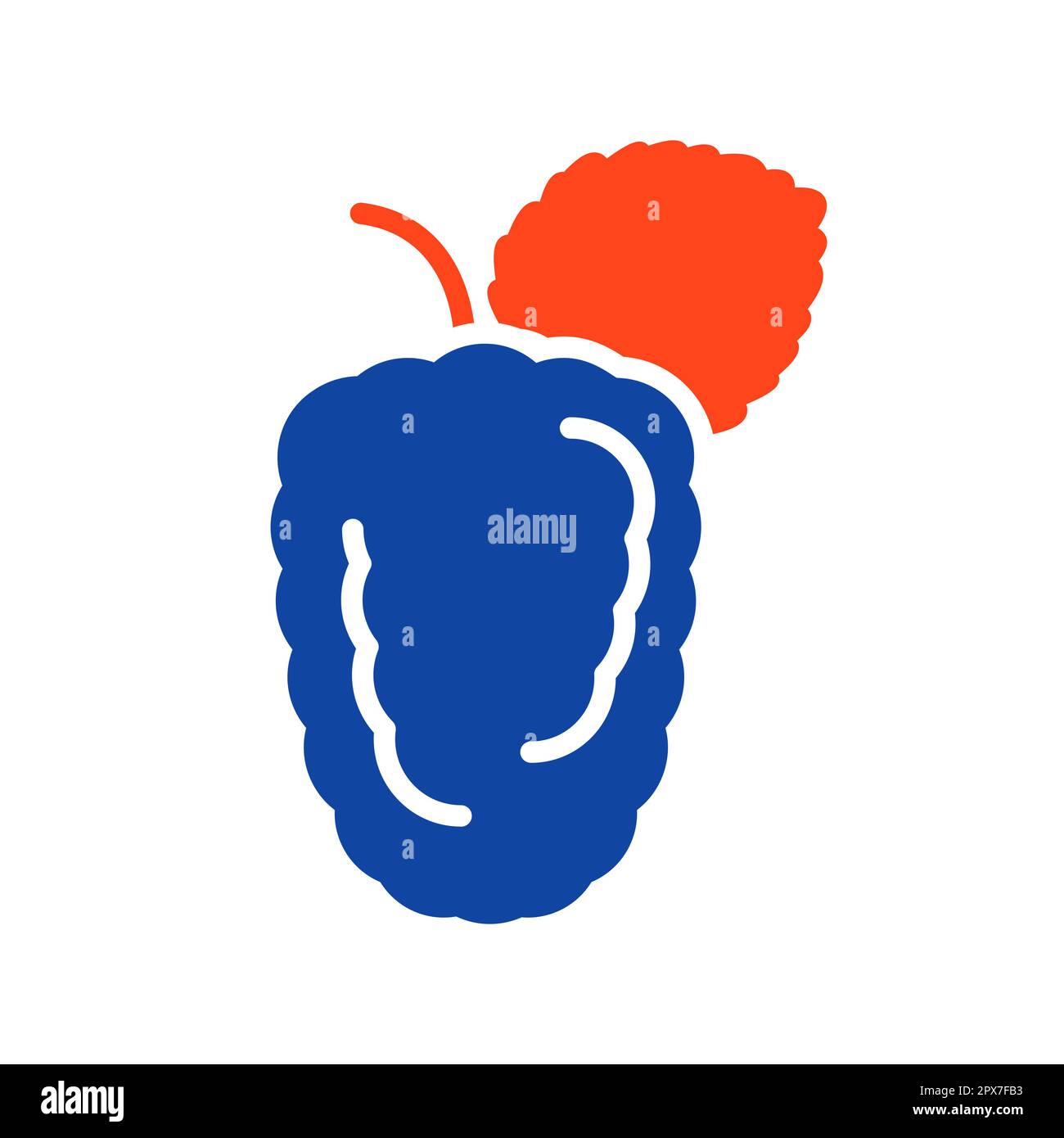 Mulberry fruit with leaves vector glyph icon. Graph symbol for food and ...