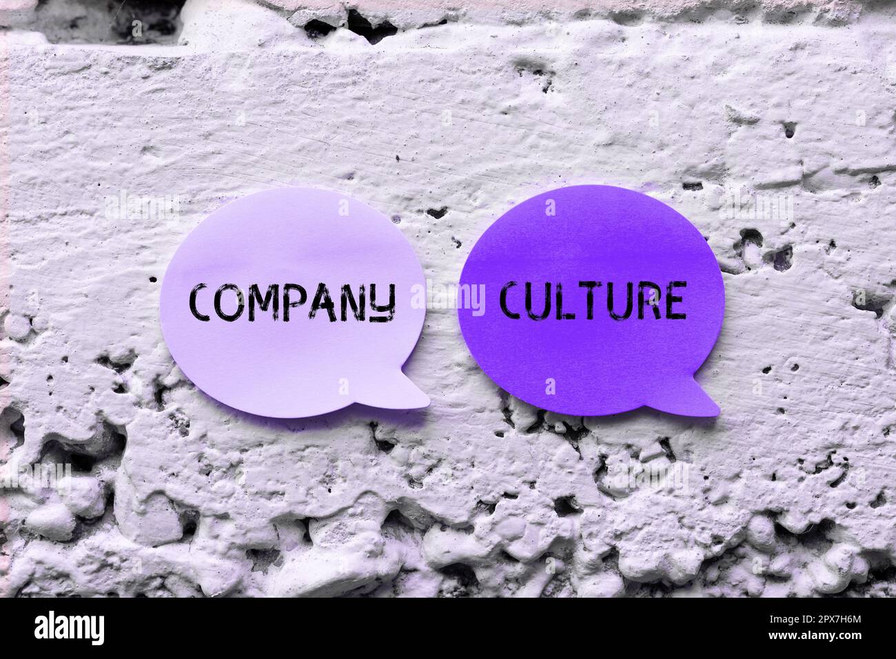 Hand writing sign Company Culture, Business showcase The environment ...