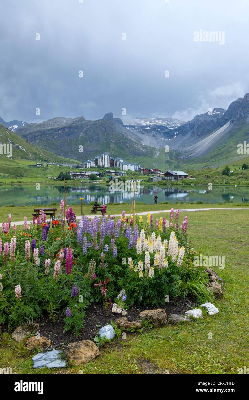 Spring and summer landscape, Tignes, Vanoise national park, France ...