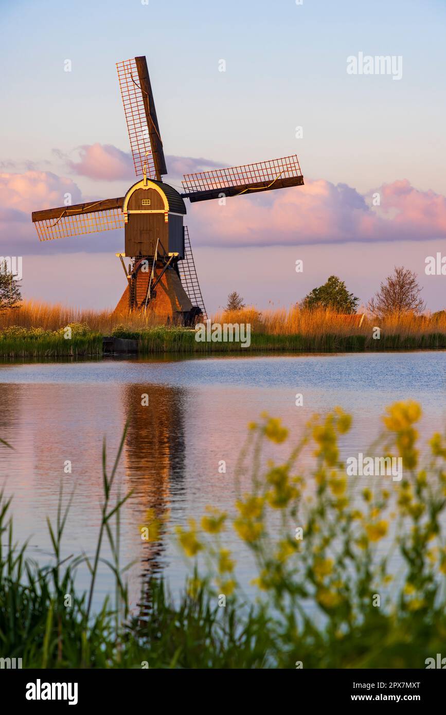 Windmill Broekmolen, Molenlanden - Nieuwpoort, The Netherlands Stock ...