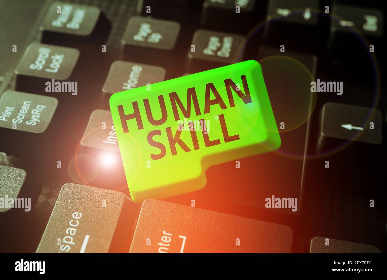 Text sign showing Human Skill, Business concept involve the ability to ...