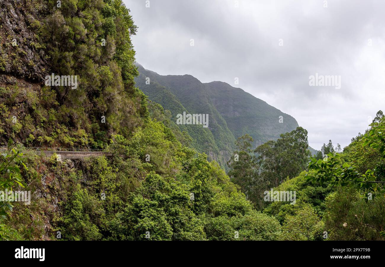 Mountain hiking trail in Madeira mountains. Footpath is running along ...