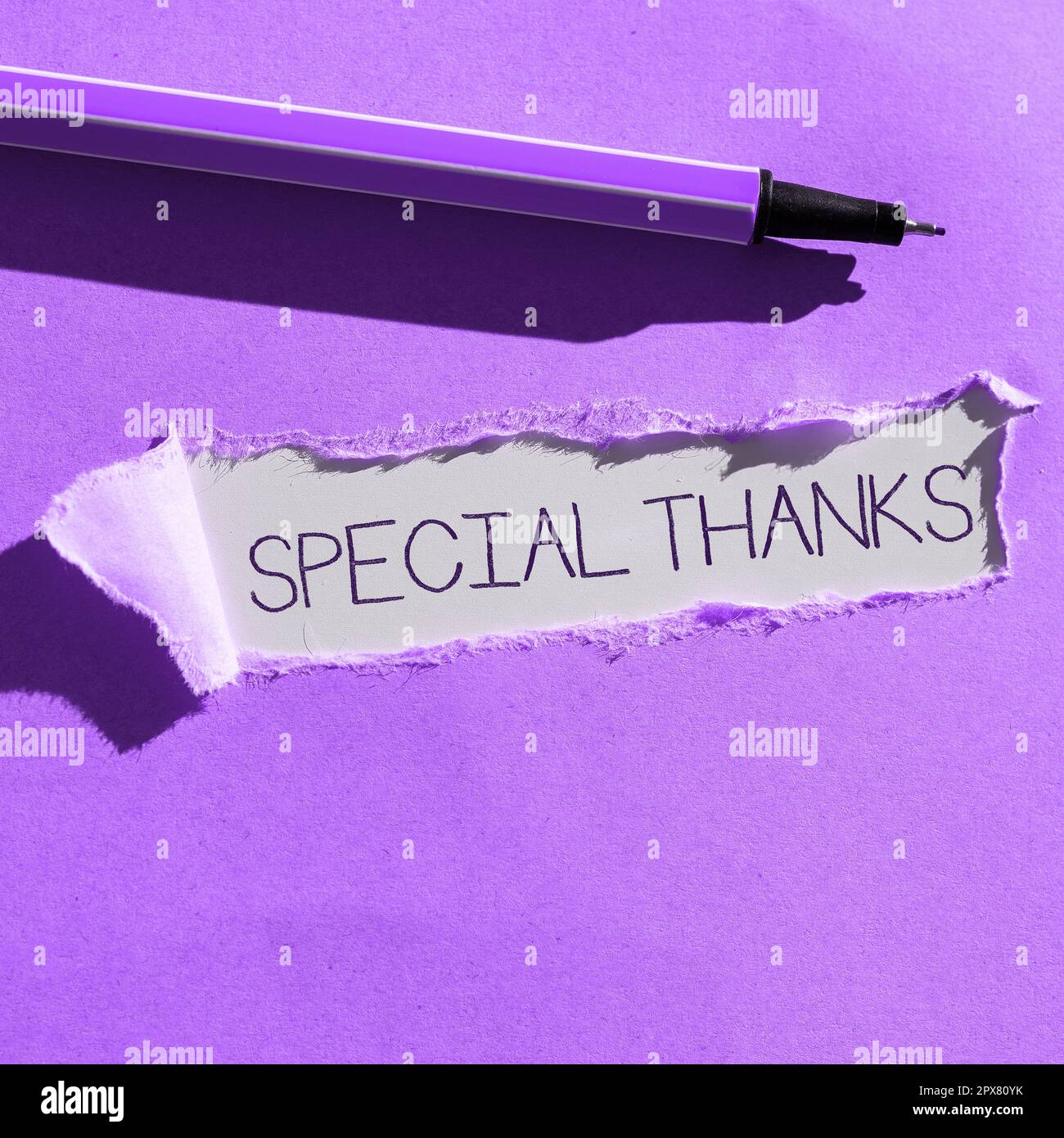 Writing displaying text Special Thanks, Business idea expression of appreciation or gratitude or ...