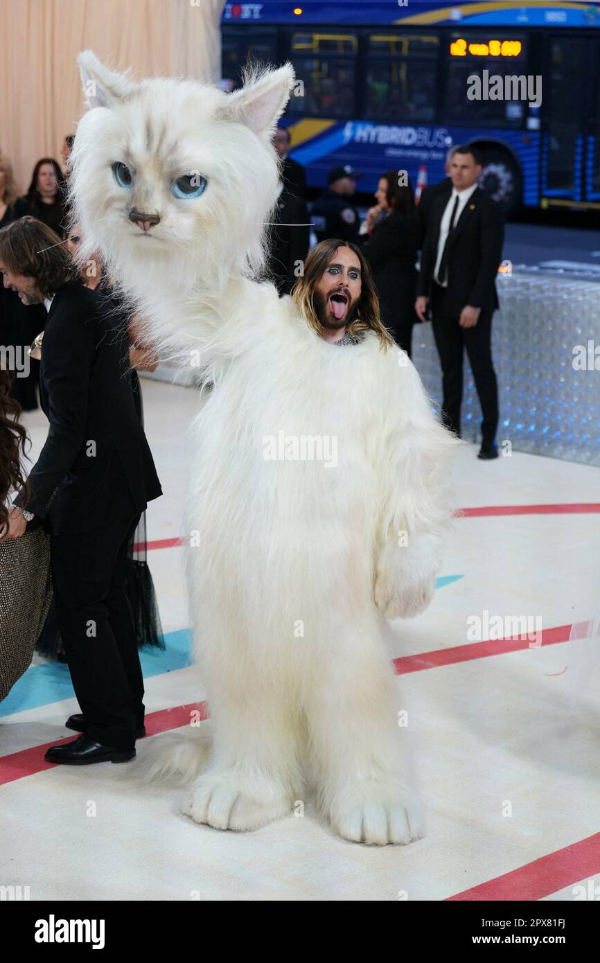 Choupette cat hi-res stock photography and images - Alamy