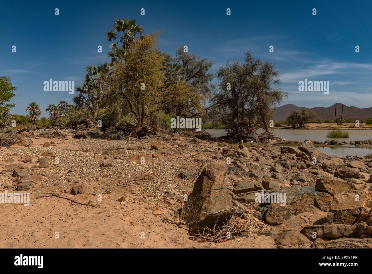 Landscape on the banks of the Kunene River, the border river between ...