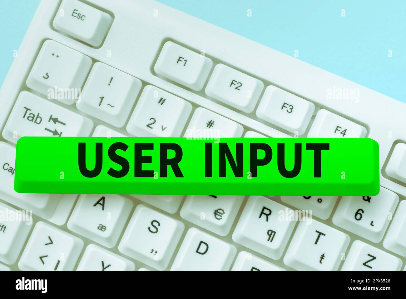 Text caption presenting User Input, Word for Any information or data ...