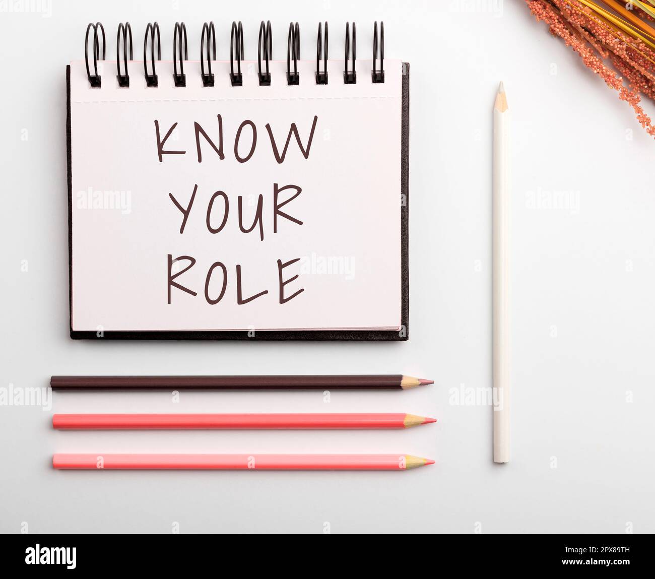 Writing displaying text Know Your Role, Business showcase Be clear of ...