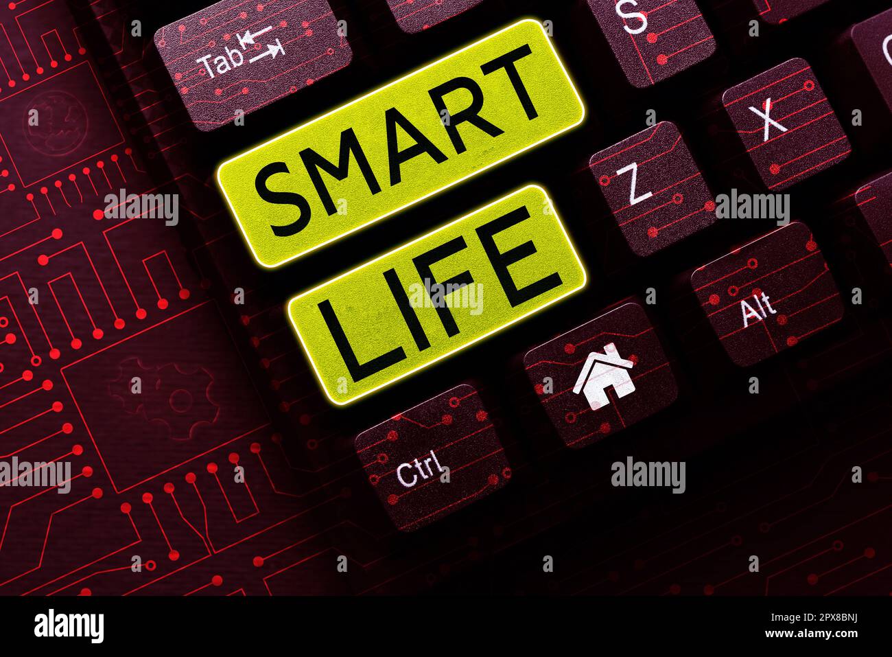 Text sign showing Smart Life, Business concept approach conceptualized ...
