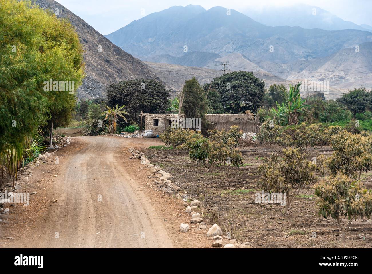 house in the Peruvian Andes of South America Stock Photo - Alamy