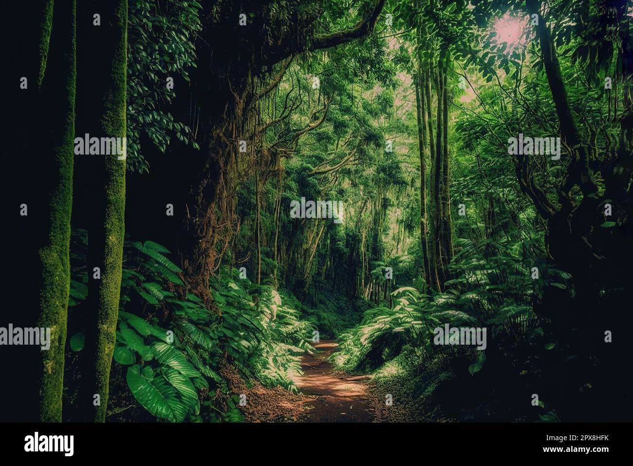 Very dense forest with green trees at Mawlynnong in Meghalaya, India ...