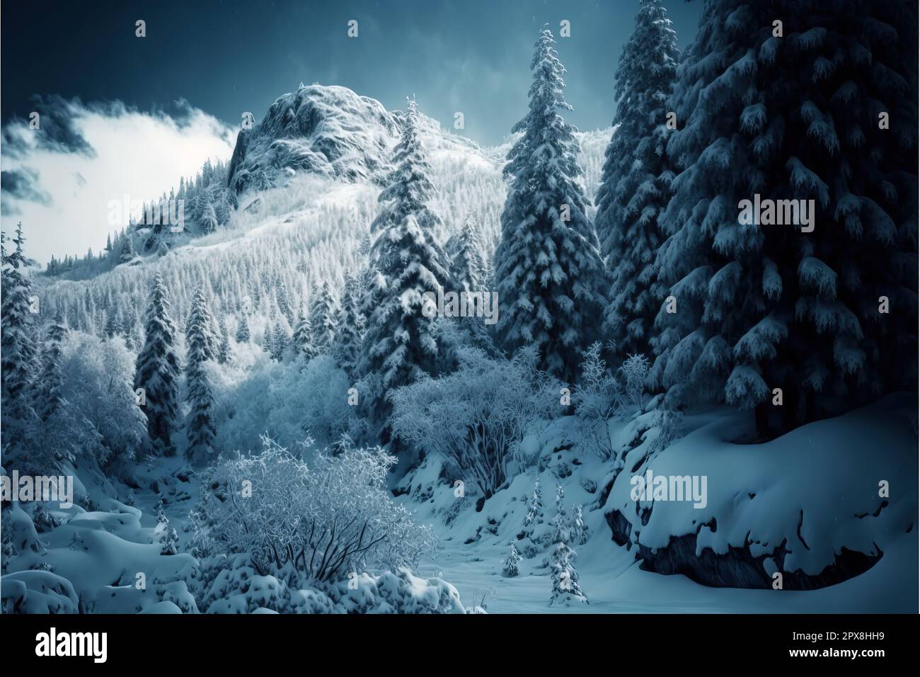 Winter landscape of the mountain forest. Endangered forests due to ...