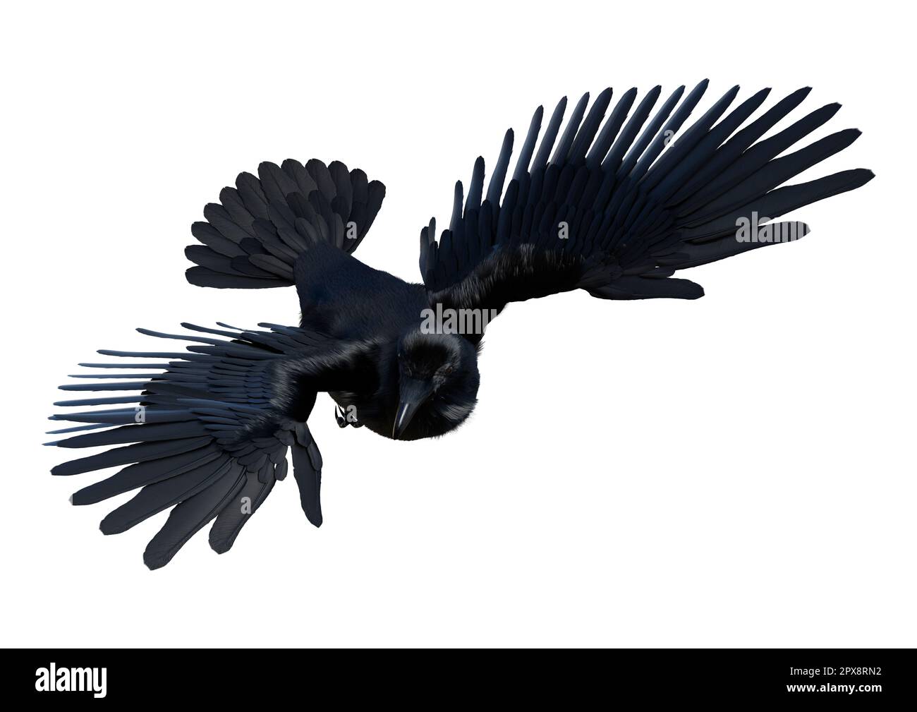 3D rendering of a black crow isolated on white background Stock Photo ...