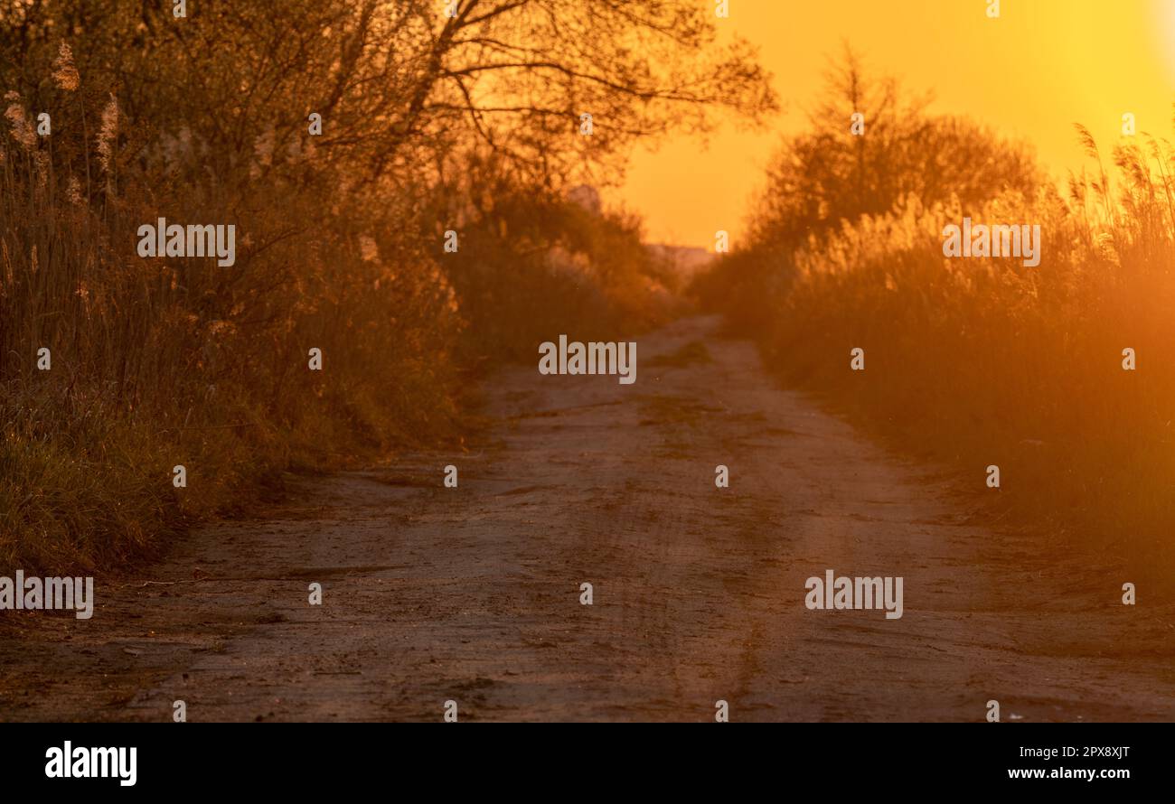 Meadows road hi-res stock photography and images - Alamy