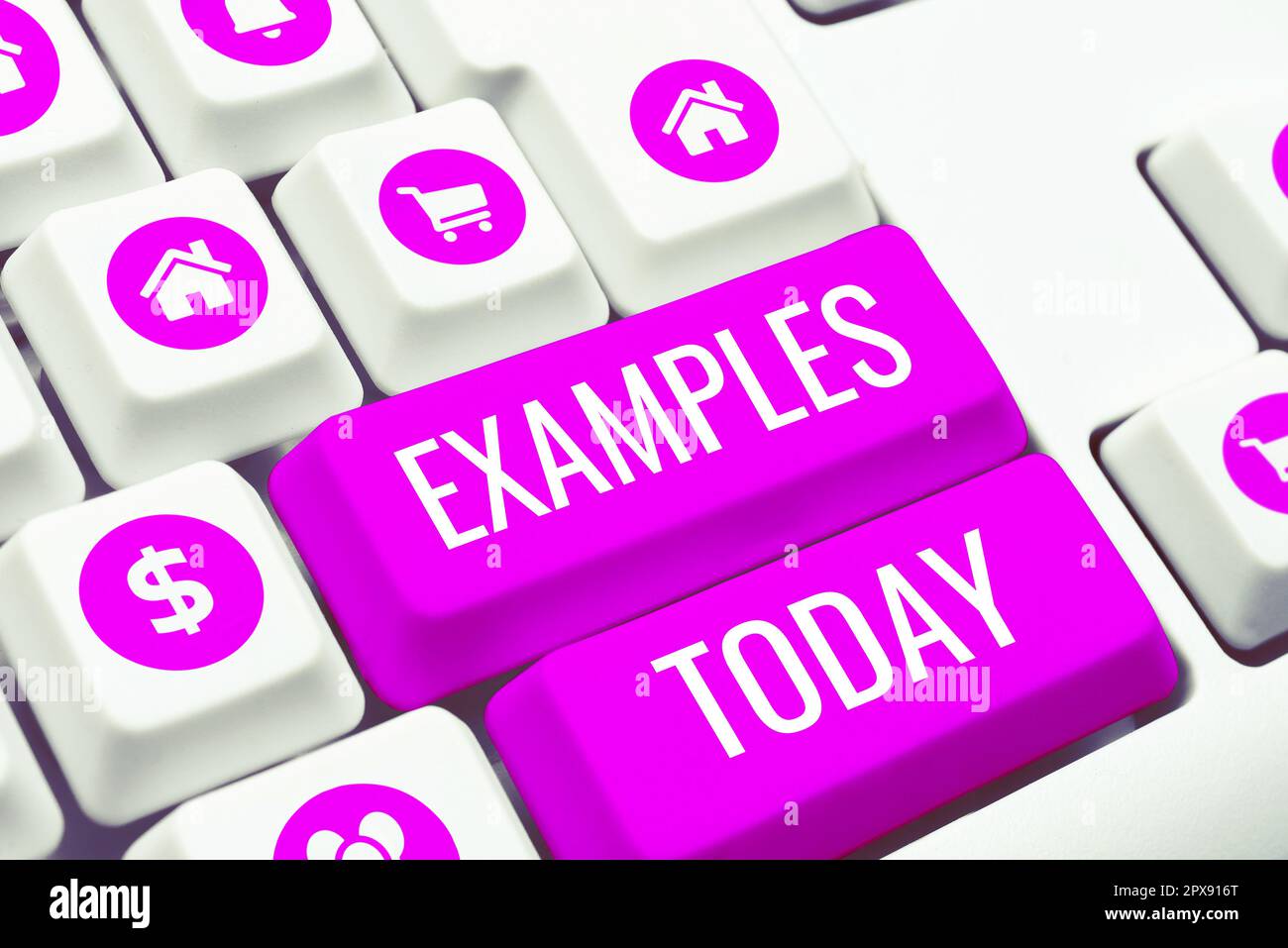 Text sign showing Examples, Business idea photo Sample Model to follow ...