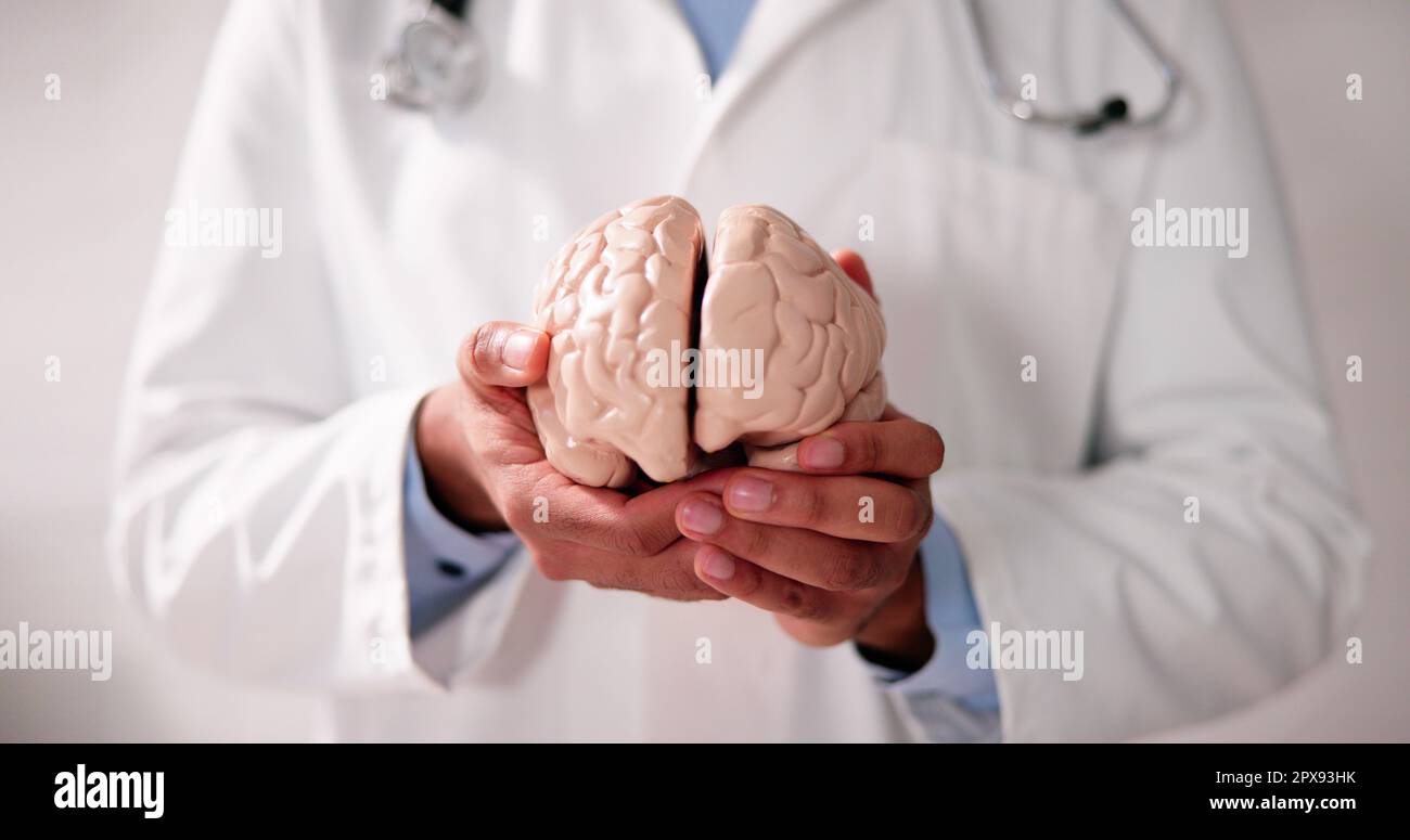 Doctor Holding Cognitive Rehabilitation, Dementia And Psychology Model ...