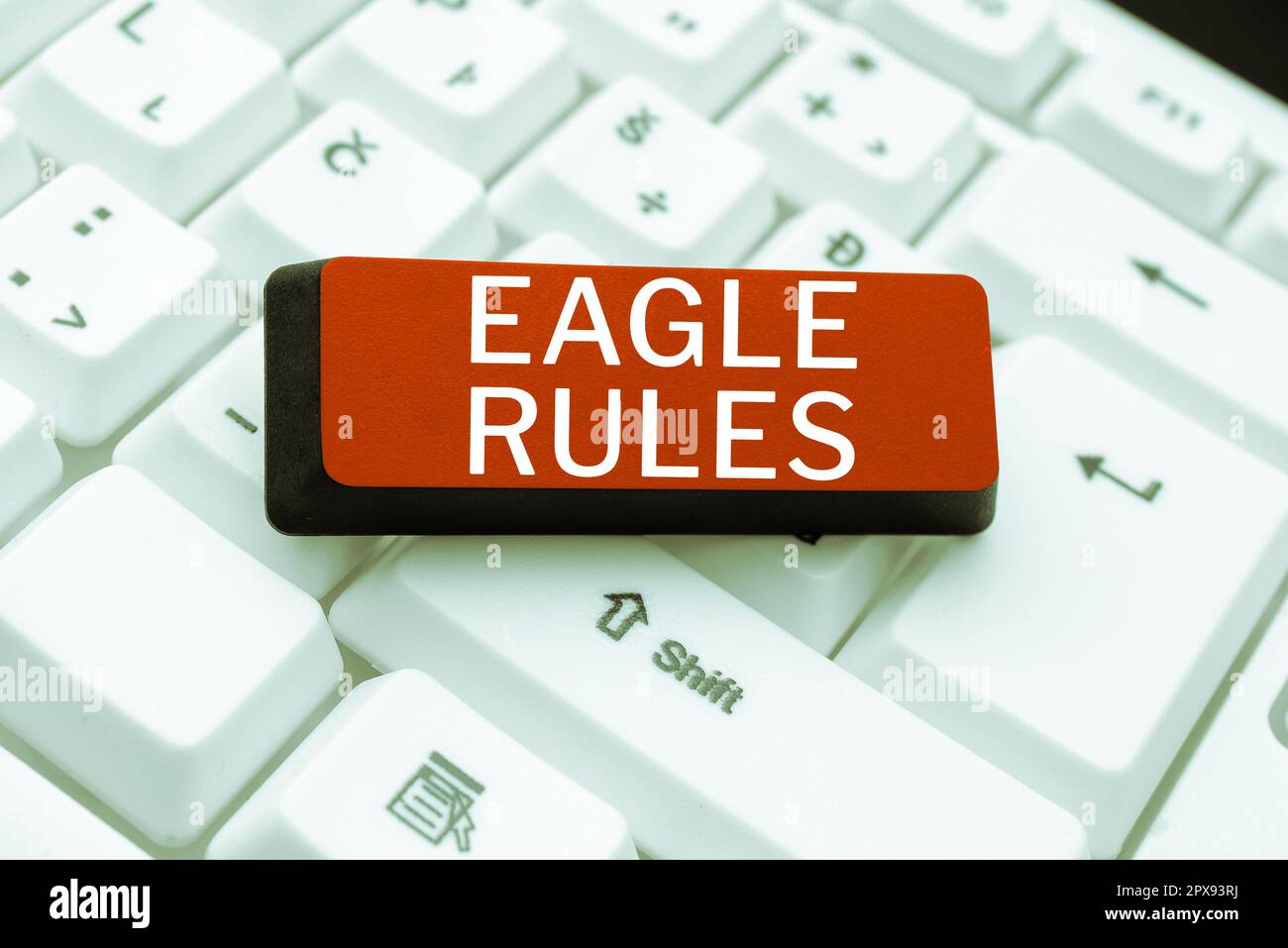 Conceptual caption Eagle Rules, Business idea a huge set of design rules which your layout needs ...