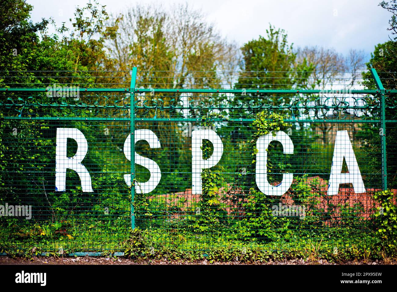 RSPCA sign, Water End, York, Yorkshire, England Stock Photo - Alamy