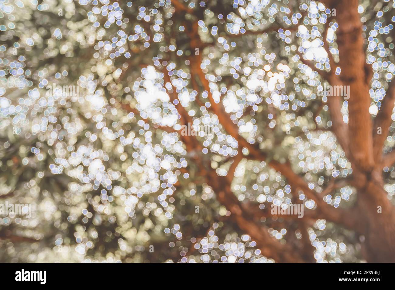 Vintage Tone Blur Image of Abstract Bokeh of Light over Tree .old wood ...