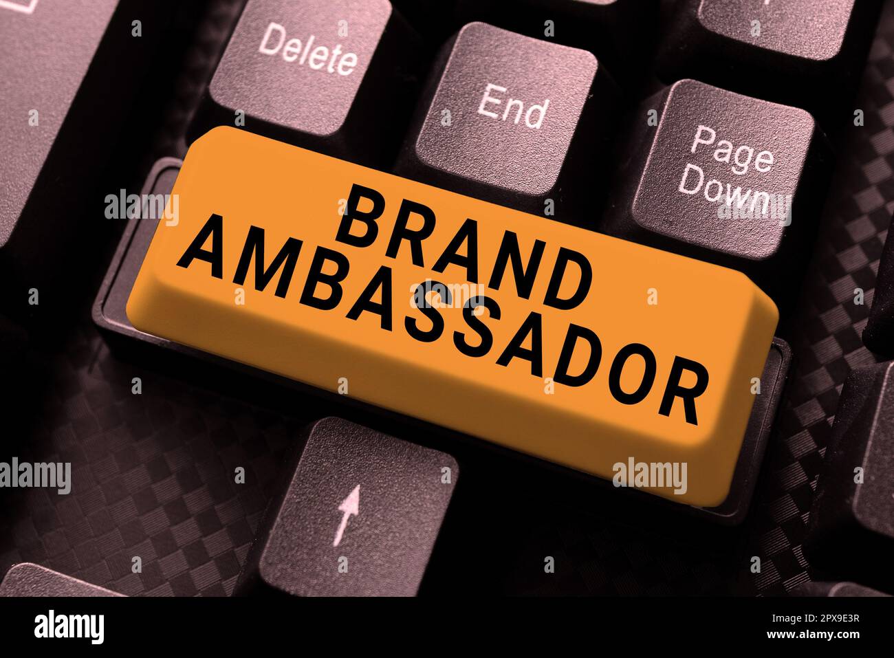 Sign displaying Brand Ambassador, Concept meaning agent accredited as ...