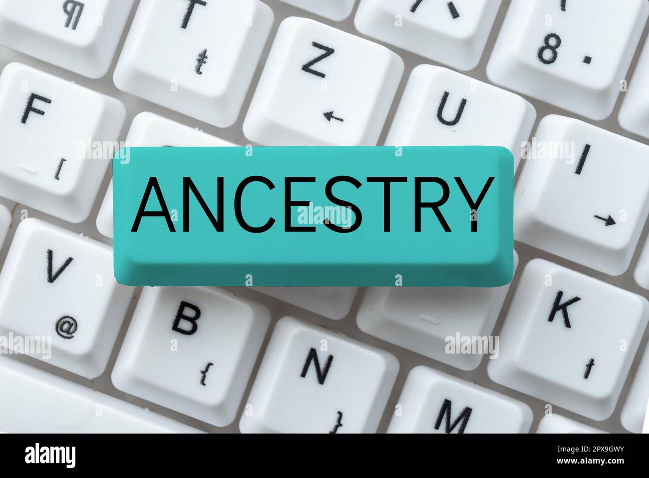 Text sign showing Ancestry, Word Written on the history or ...