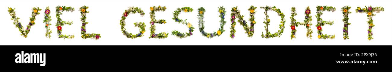 Blooming Flower Letters Building German Text Viel Gesundheit Means Lot ...