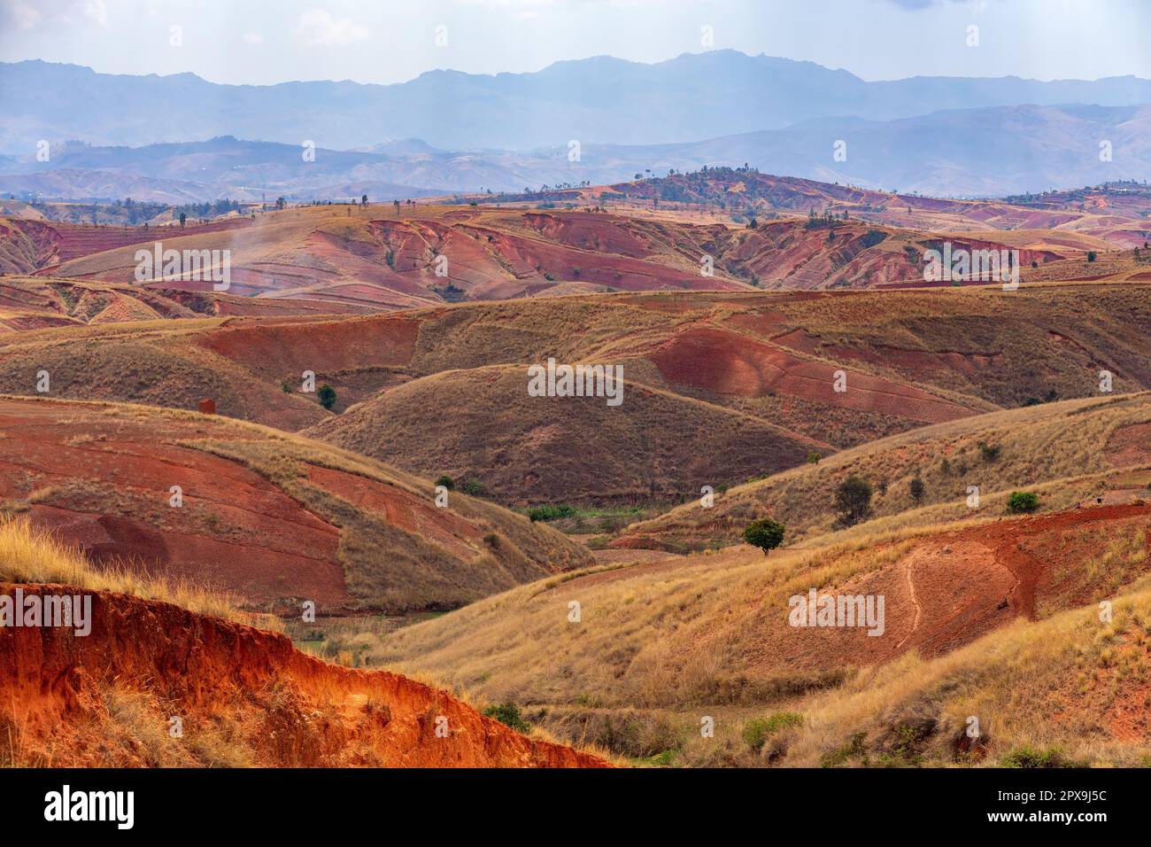 Devastated central Madagascar landscape, Mandoto, Vakinankaratra ...