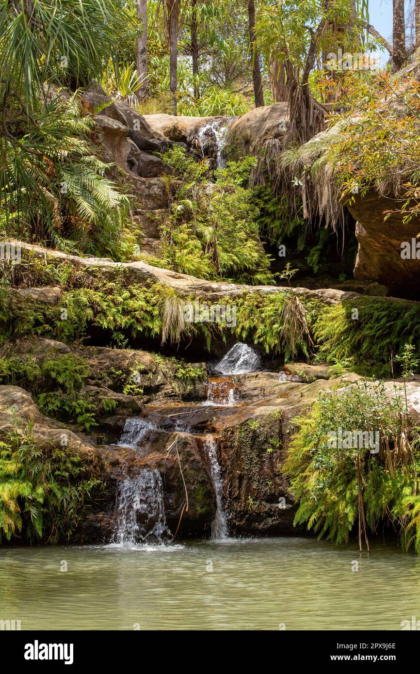 Rain forest waterfall, pure unattached nature, Isalo national park ...