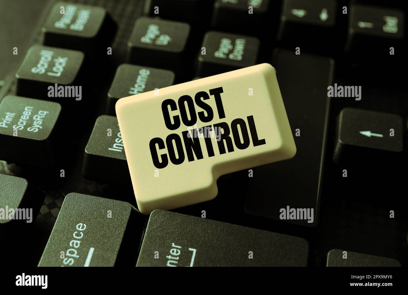 Inspiration showing sign Cost Control, Internet Concept practice of ...