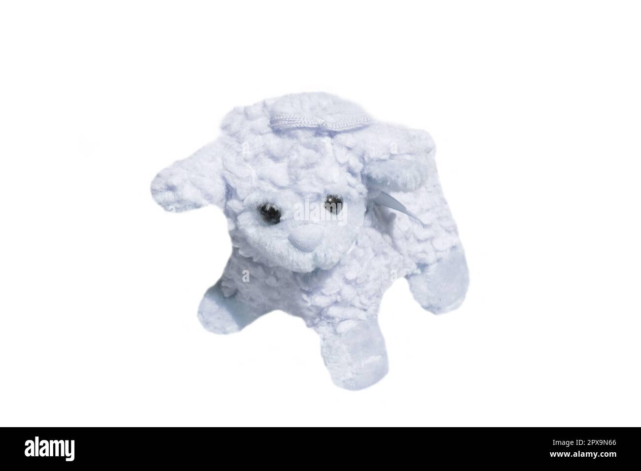 White sheep toy isolated on white background. Sheep soft toy. Plush ...