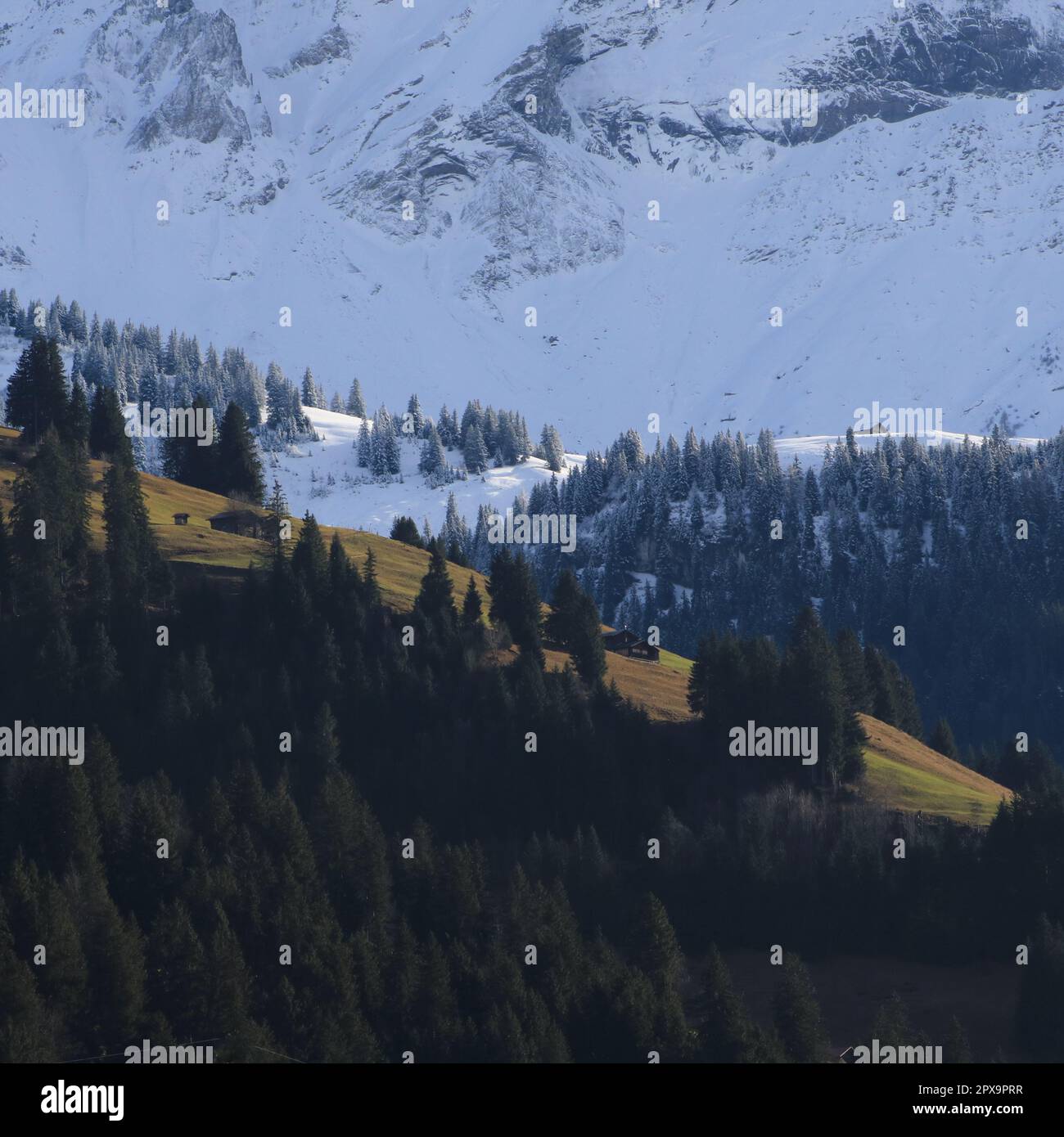 Two seasons hi-res stock photography and images - Alamy