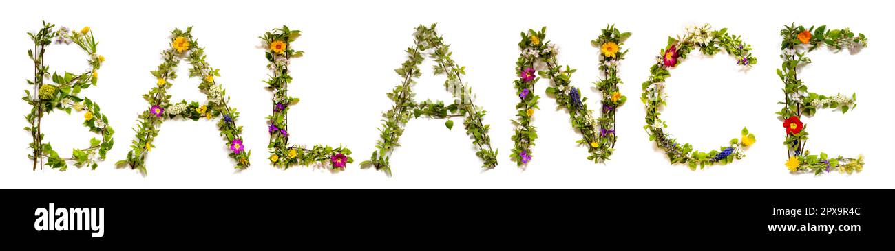 Blooming Flower Letters Building English Word Balance. Summer And ...