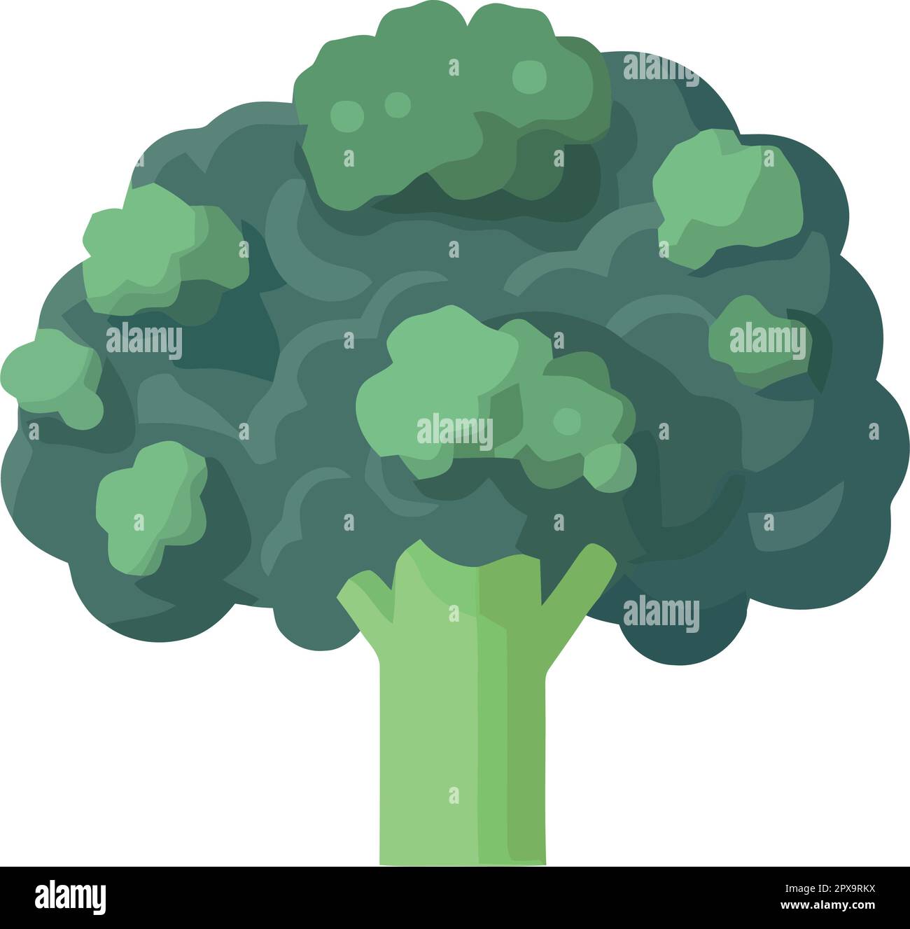 Green broccoli leaf organic Stock Vector Image & Art - Alamy