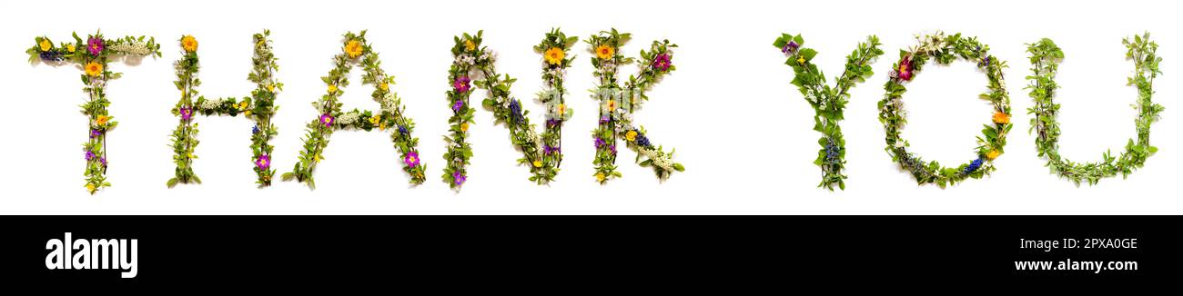 Letters of appreciation Cut Out Stock Images & Pictures - Alamy