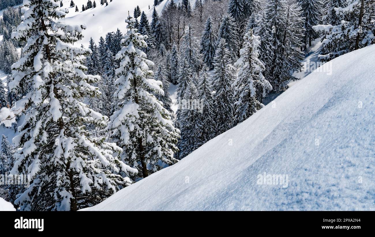 Snowy winter wonderland in the Bavarian Alps Stock Photo - Alamy