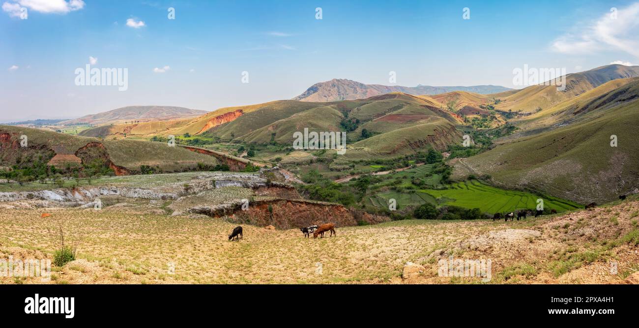 Devastated central Madagascar landscape, Mandoto, Vakinankaratra ...