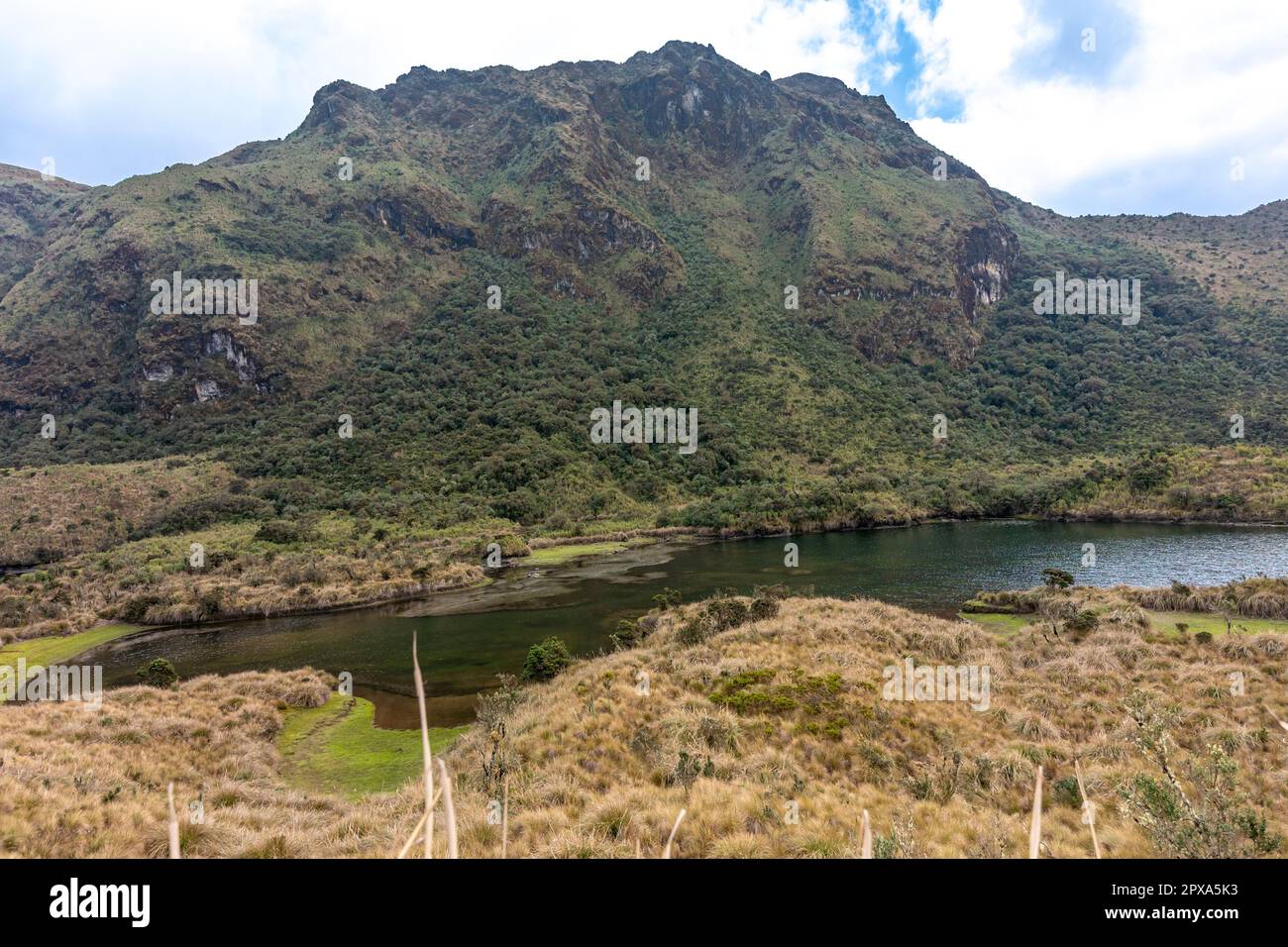 Cayambe Coca Ecological Reserve in Ecuador Stock Photo - Alamy