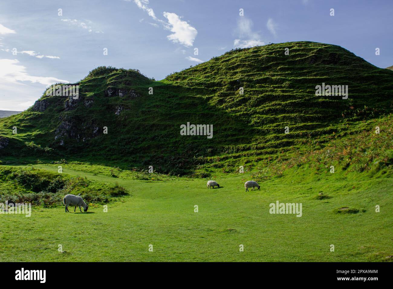 Cone-shaped hills of the Fairy Glen with sheep, Scotland, UK Stock ...