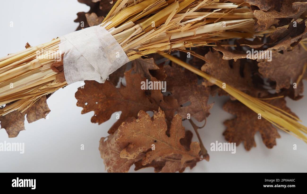 The badnjak veseljak is a tree branch or entire tree that is central to ...