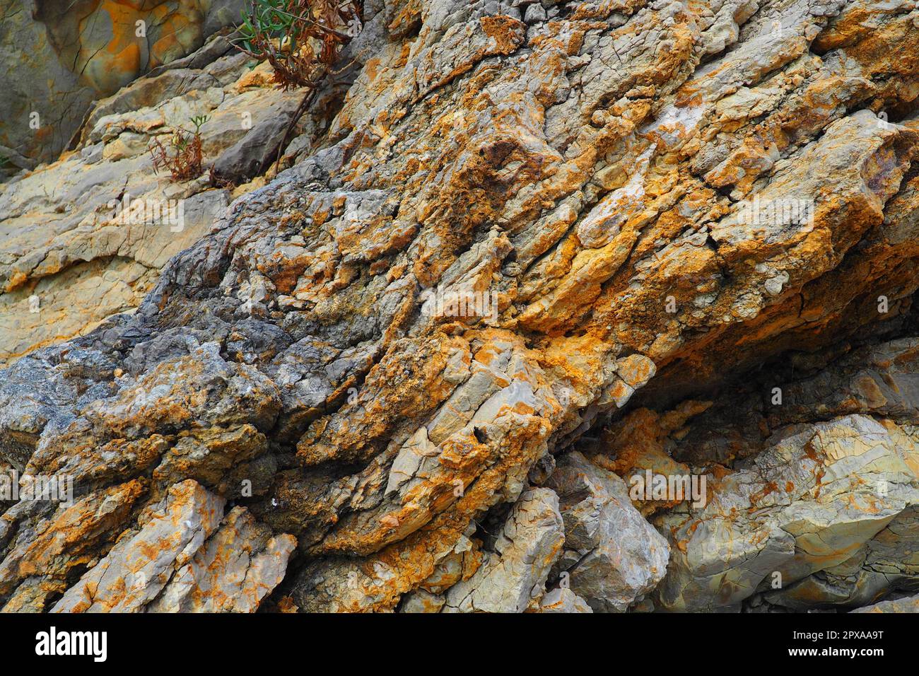 Flysch is a series of marine sedimentary rocks that are predominantly ...