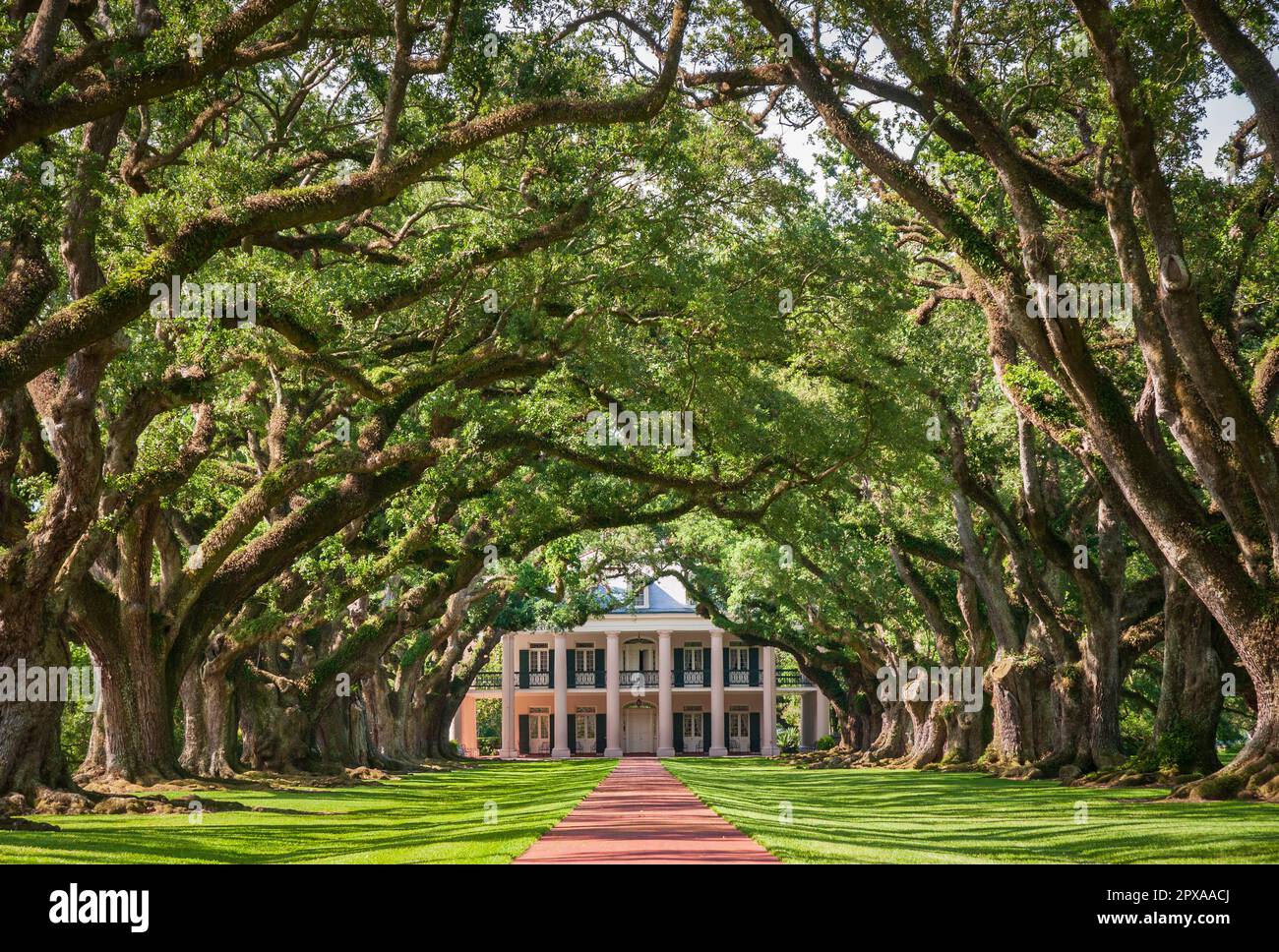 Oak Alley Plantation Slavery Database – ETKTD