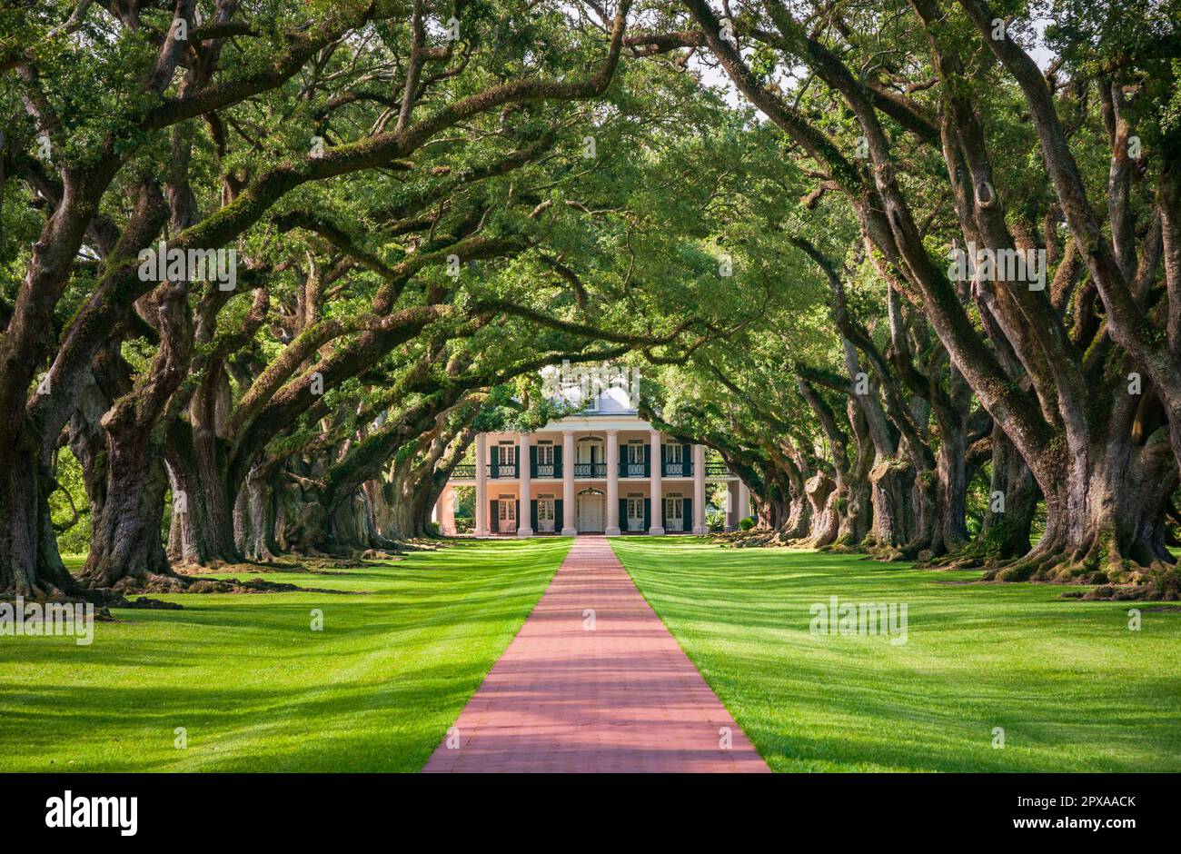 Historic Oak Alley Plantation in Vacherie, Louisiana Stock Photo - Alamy
