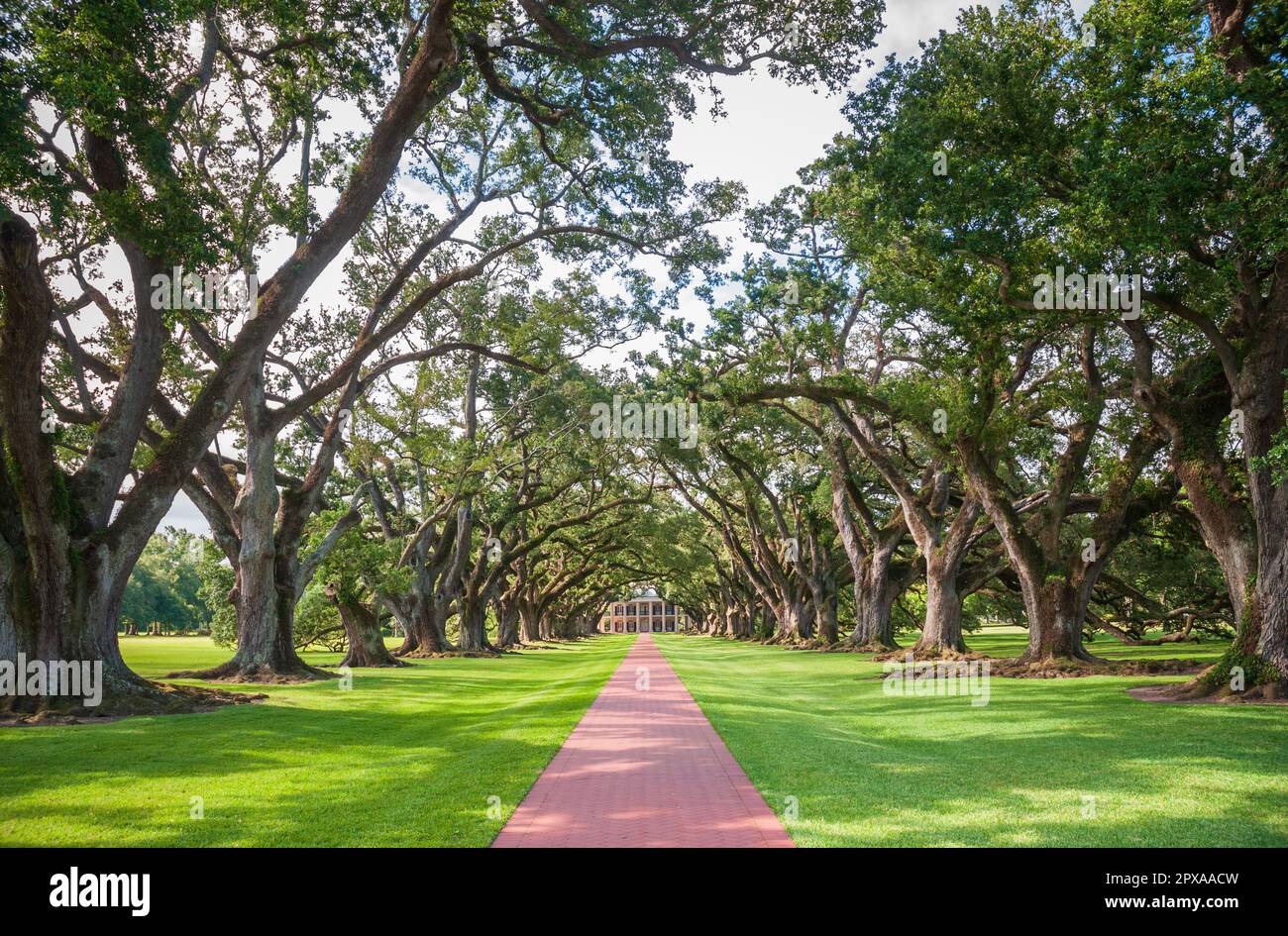 Historic Oak Alley Plantation in Vacherie, Louisiana Stock Photo - Alamy