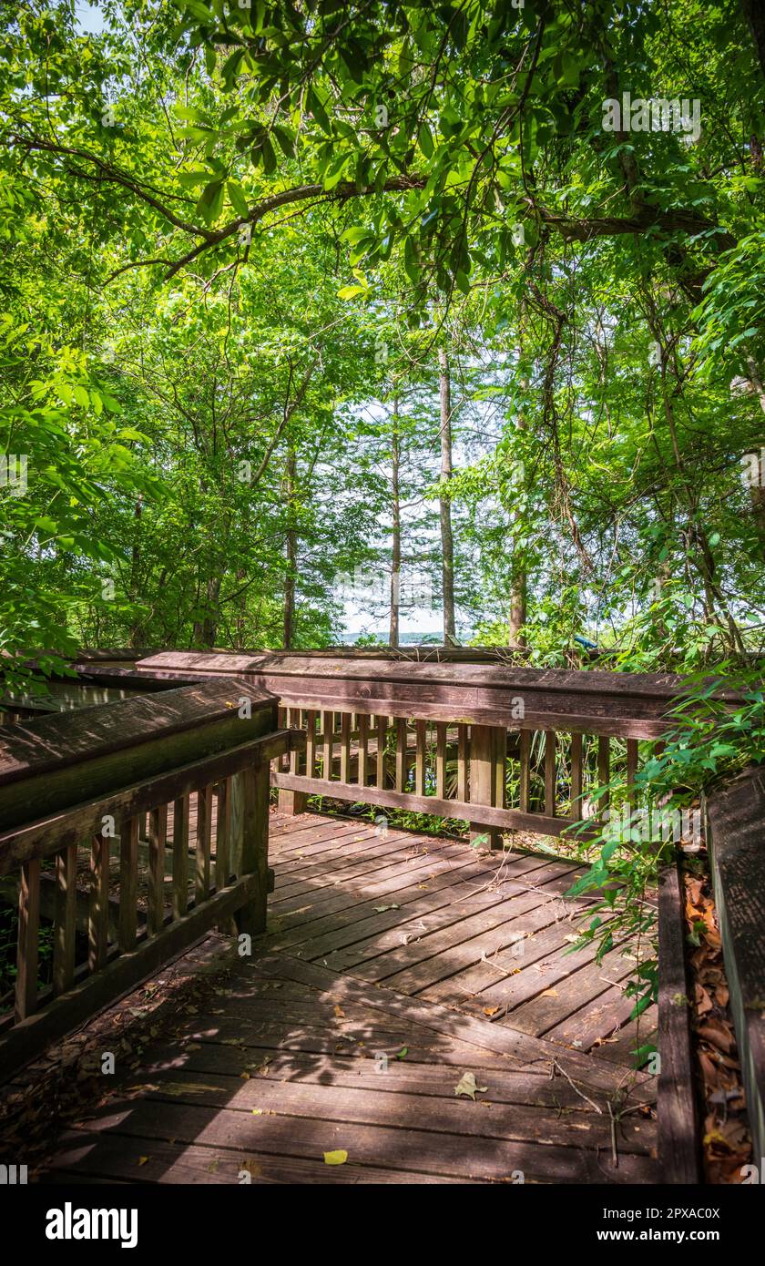 Lake Fausse Pointe State Park in Louisiana Stock Photo - Alamy